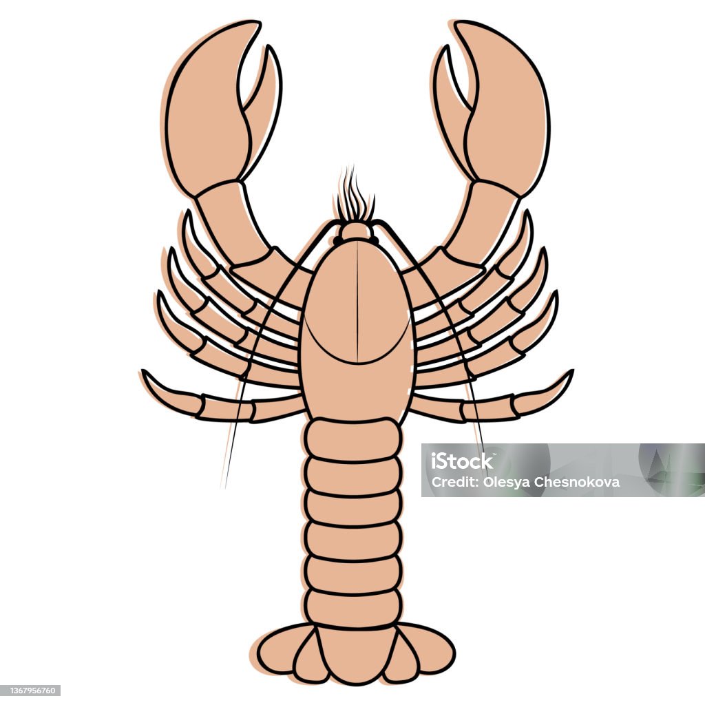 Hummer Farblich Isolierte Vektorillustration Auf Weißem Hintergrund Im ... Hummer Farblich Isolierte Vektorillustration Auf Weißem Hintergrund Im ...