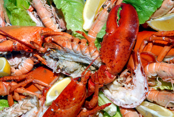 Fruits De Mer Pictures | Download Free Images on Unsplash