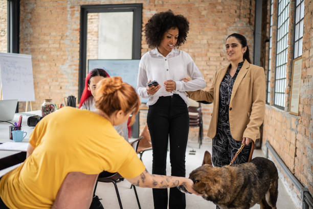 Working Dog Pictures | Download Free Images on Unsplash