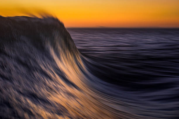 1000+ Crashing Wave Pictures | Download Free Images on Unsplash