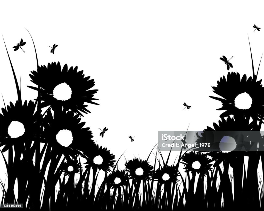 Green Grass Meadow Stock Illustration Download Image Now Blade Botany Environment Istock