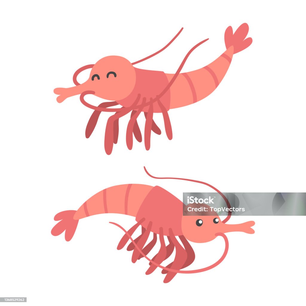 Personnage De Crevette En Tant Que Mammifère Aquatique Avec Un Ensemble