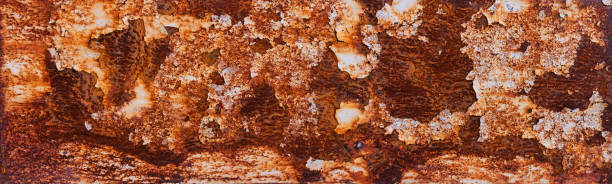 Free Stock Photo of Rusted, decaying metal texture | Download Free ...