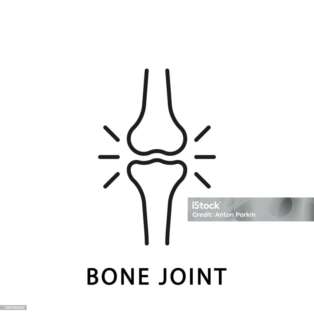 Icône De Ligne Darticulation De Los Du Genou Humain Anatomie Squelette