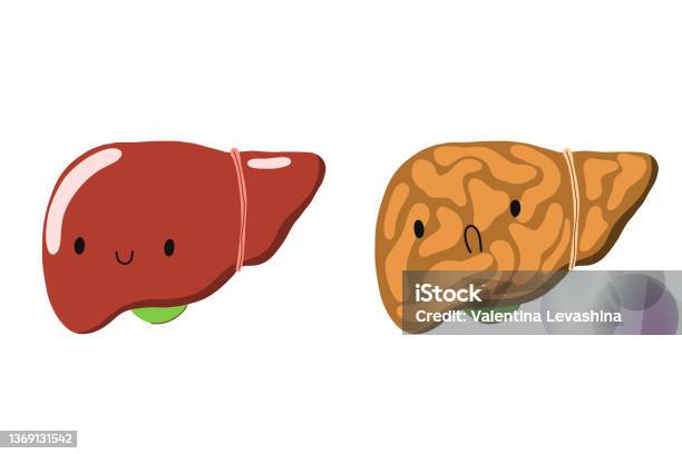 Ilustración De Enfermedad Hepática Carácter Hepático Enfermo Y Sano