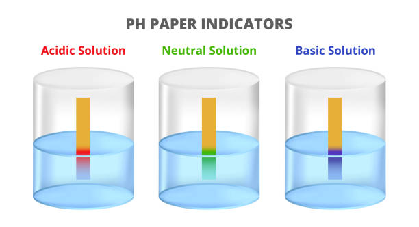 Litmus Paper Test: Important Acid-Base Indicator, 46% OFF Litmus Paper Test: Important Acid-Base Indicator, 46% OFF
