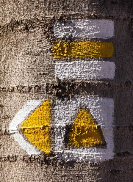 270+ Road Sign Directional Sign Rectangle Yellow Stock Photos, Pictures ... 270+ Road Sign Directional Sign Rectangle Yellow Stock Photos, Pictures ...