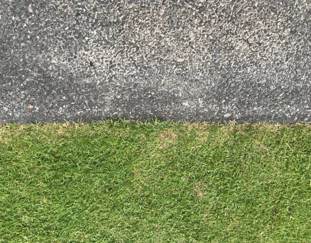 Free Stock Photo of Close Up of Street With Grass and Dirt | Download ...