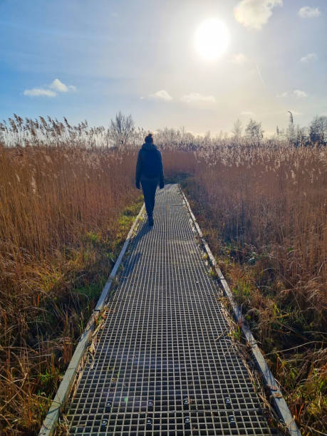 Clear Path Pictures | Download Free Images on Unsplash