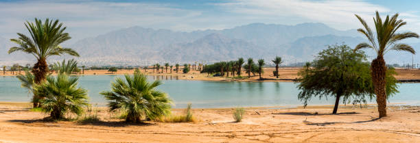 Israel Landscape Pictures | Download Free Images on Unsplash