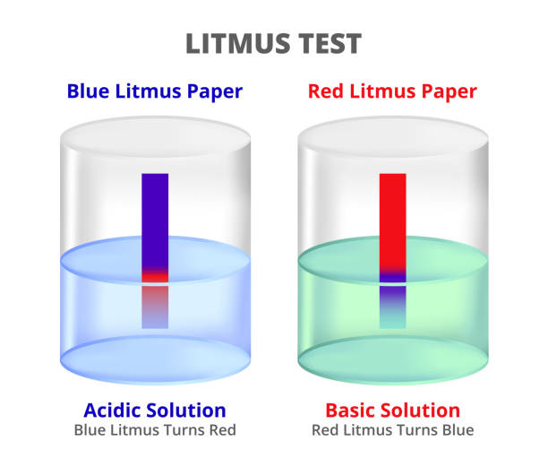 Litmus Paper Test: Important Acid-Base Indicator, 46% OFF Litmus Paper Test: Important Acid-Base Indicator, 46% OFF