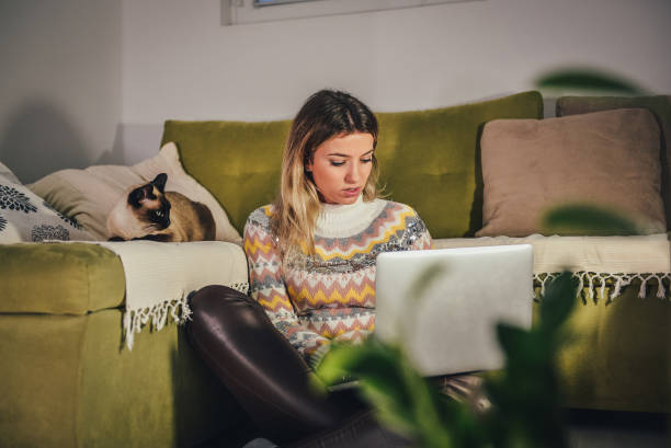 Cat Is Watching Pictures | Download Free Images on Unsplash