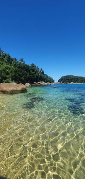 Ubatuba Pictures | Download Free Images on Unsplash