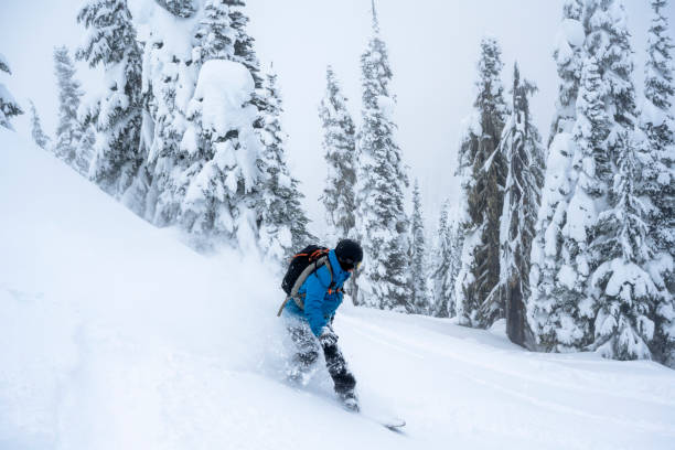 Free Stock Photo of Man Snowboarding Through Forest | Download Free ...