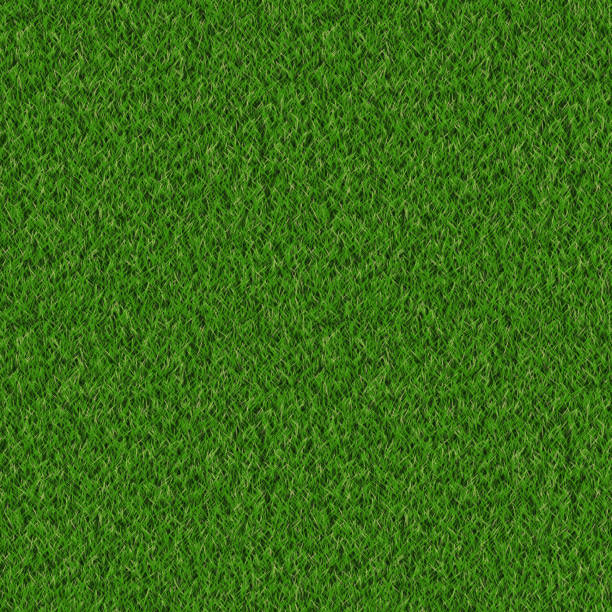 19700 Grass Texture Seamless Foto Stok Potret And Gambar Bebas