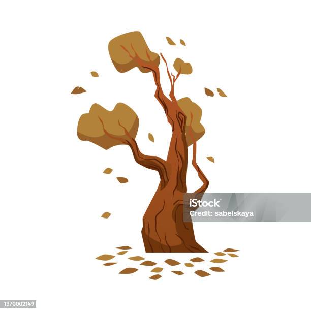 Chute Des Feuilles Sur Chêne Dautomne Illustration Vectorielle Plate