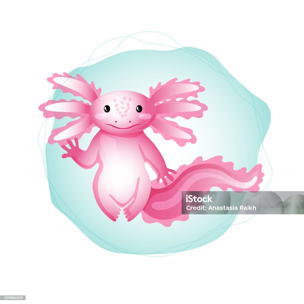 Ilustrații de stoc cu Cute Axolotl Ambystoma Mexicanum Desen Animat ... Ilustrații de stoc cu Cute Axolotl Ambystoma Mexicanum Desen Animat ...