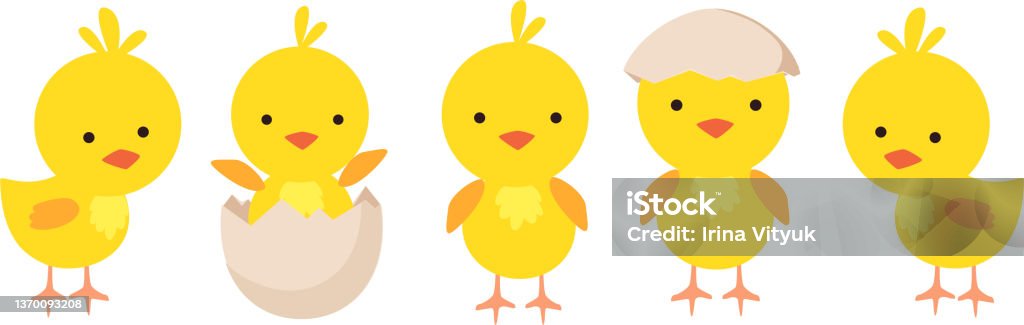 Ilustración De Conjunto De Lindos Pollos Bebé En Diferentes Poses Para