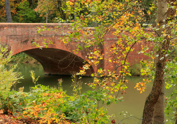 Biltmore Estate Pictures | Download Free Images on Unsplash