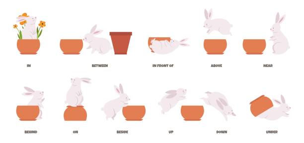 English prepositions Clipart Vector PNG , SVG, EPS, PSD, AI