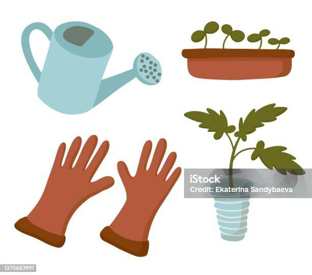 Ensemble Vectoriel De Semis Et Doutils De Jardin Objets De Dessin Animé