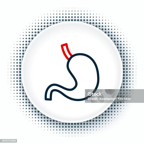 Ligne Icône De Lestomac Humain Isolée Sur Fond Blanc Concept De Contour