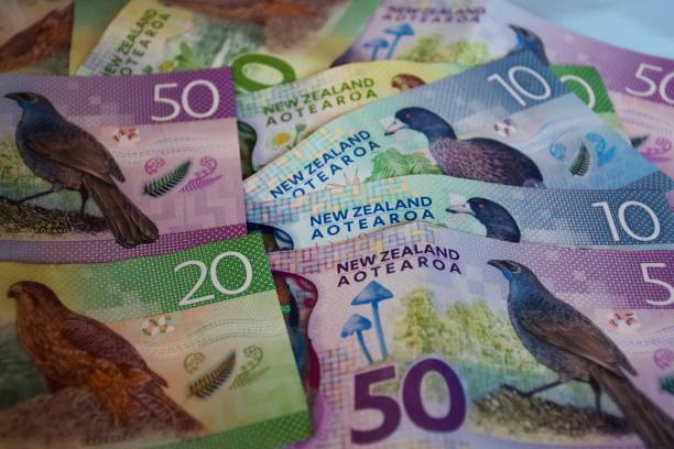 New Zealand Money Pictures | Download Free Images on Unsplash
