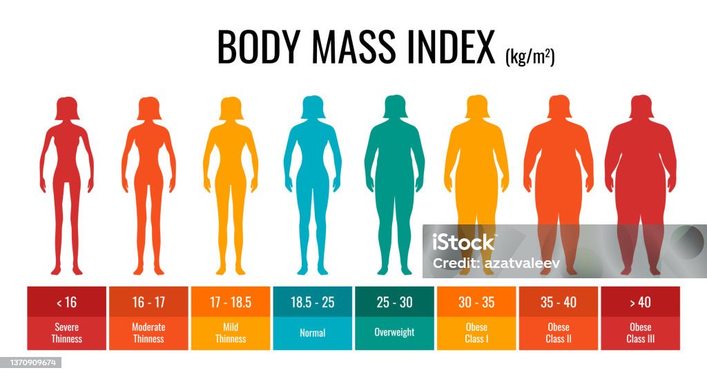 Bmi Klasifikasi Grafik Pengukuran Wanita Set Infografis Indeks Massa Tubuh Wanita Dengan Status