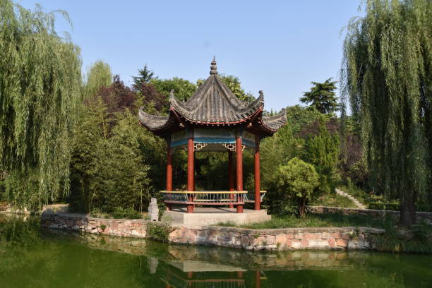 Henan Pictures | Download Free Images on Unsplash