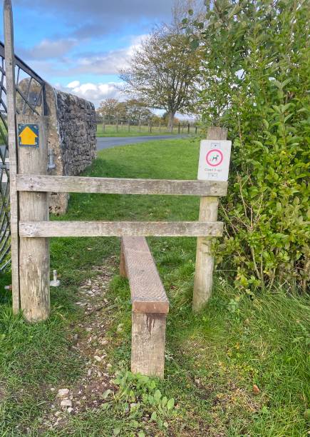 Stile Pictures | Download Free Images on Unsplash