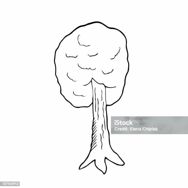 Dessin Au Trait Doodle De Larbre Sur Fond Blanc Illustration