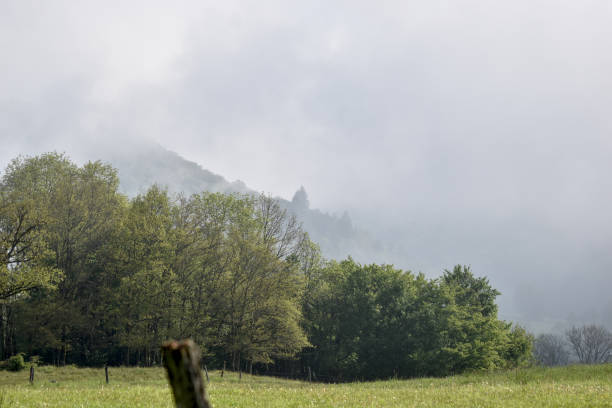 Campagne France Pictures | Download Free Images on Unsplash