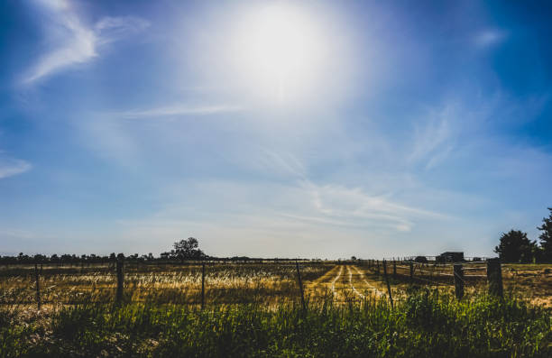 Paddock Pictures | Download Free Images on Unsplash