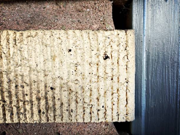 Free picture: Bright light brown brick wall close-up mortar texture