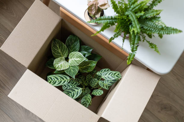 Subscription Box Pictures | Download Free Images on Unsplash