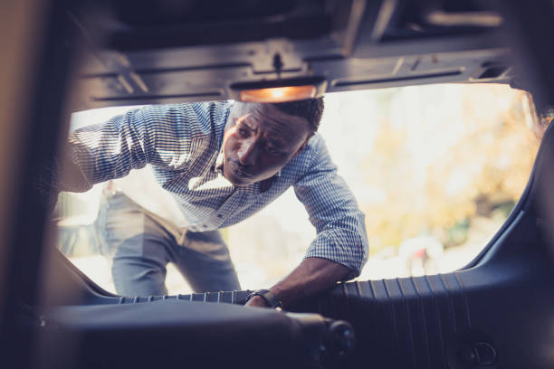 Trunk Pictures | Download Free Images on Unsplash