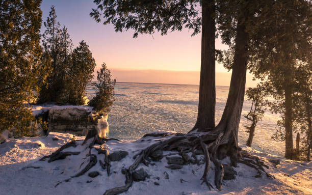 Door County Pictures | Download Free Images on Unsplash