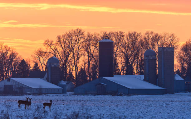 Farm Building Pictures | Download Free Images on Unsplash