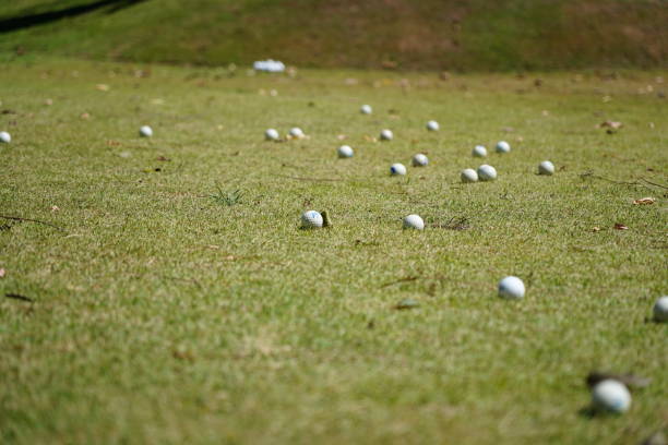 Free Stock Photo of A pyramid of golf balls on a green field | Download ...