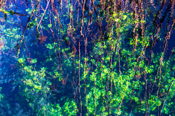 Saturation Pictures | Download Free Images on Unsplash