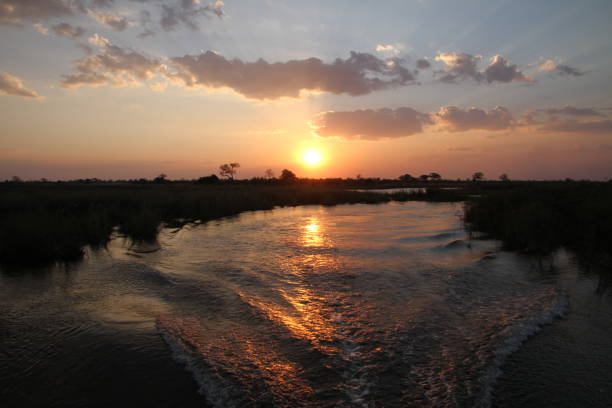 Sundowner Pictures | Download Free Images on Unsplash