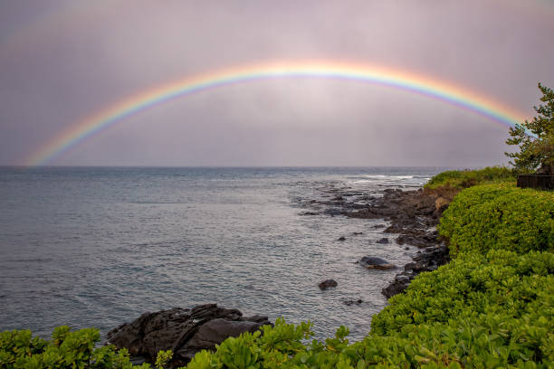Free Stock Photo of Rainbow Over Ocean | Download Free Images and Free ...