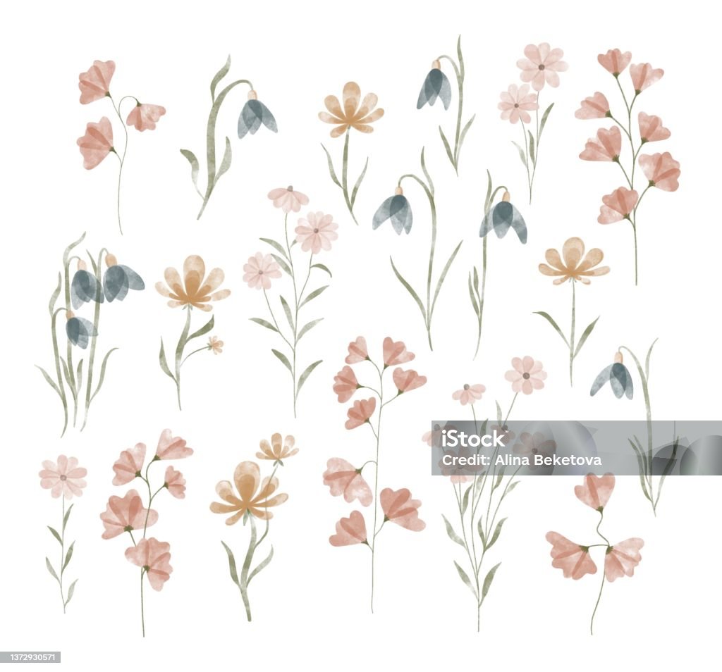 Watercolor Trendy Flowers Vector Illustration For Web App And Print