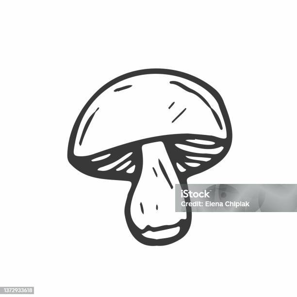 Jamur Hutan Doodle Seni Garis Sketsa Yang Digambar Tangan Ilustrasi
