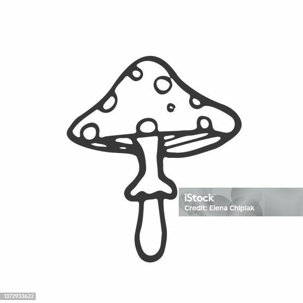 Jamur Hutan Doodle Seni Garis Sketsa Yang Digambar Tangan Ilustrasi