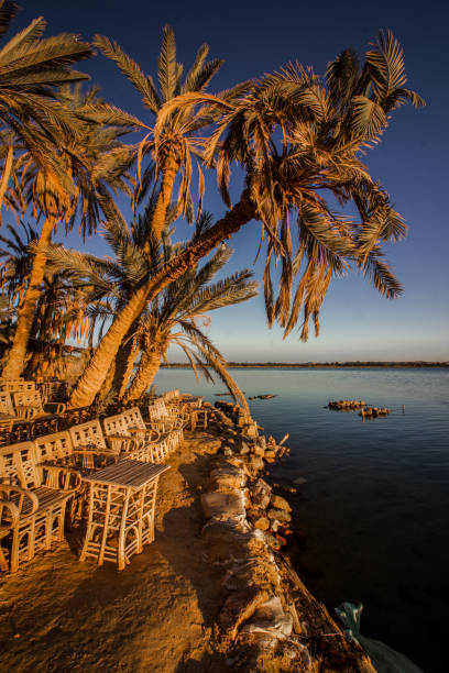Siwa Pictures | Download Free Images on Unsplash