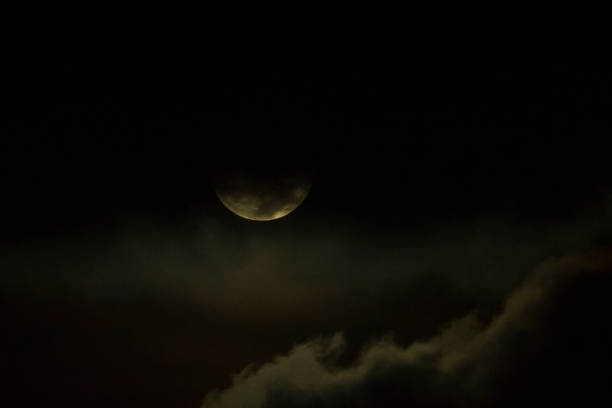 Moom Pictures | Download Free Images on Unsplash