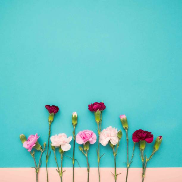 Colorblock Pictures | Download Free Images on Unsplash