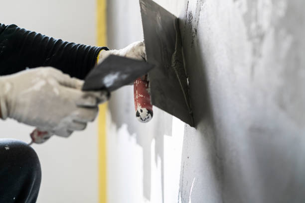 500+ Plaster Pictures [HD] | Download Free Images on Unsplash
