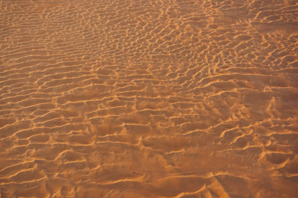 Free picture: Light brown dry dirty sand on ground with shadow texture
